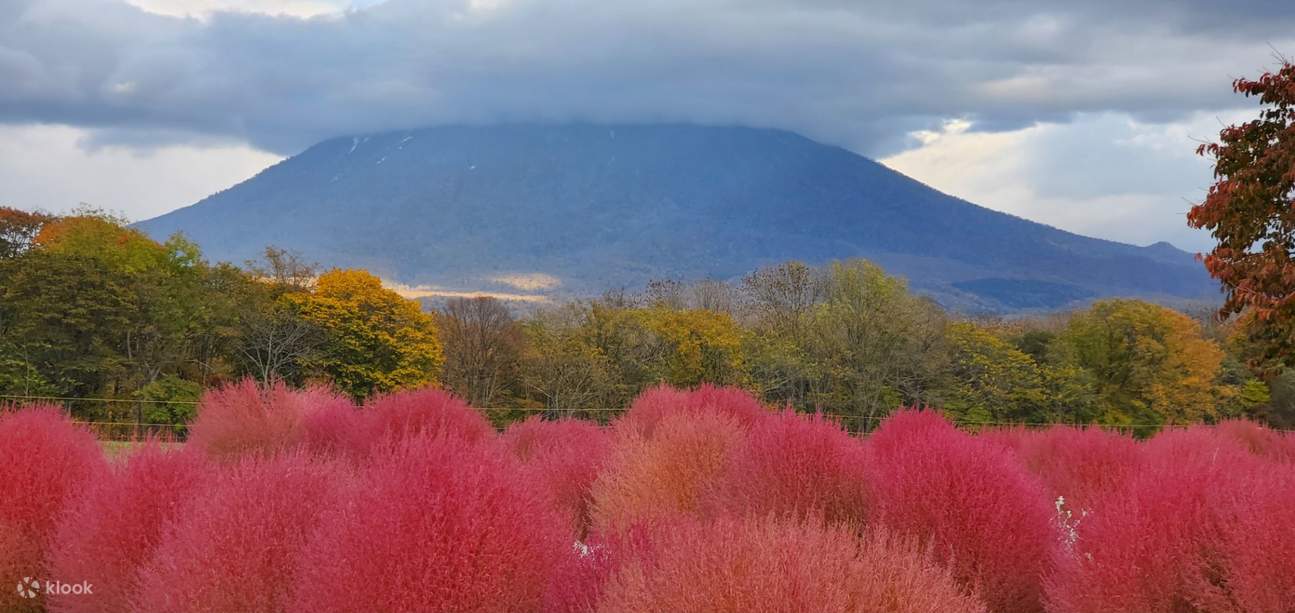 [Hokkaido | Noboribetsu Lake Toya Niseko One Day Tour] Little Fuji ...